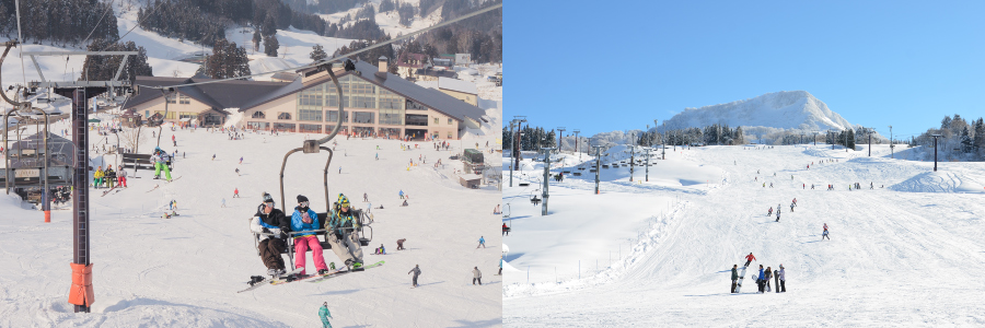 SnowJapan | The independent guide to skiing, snowboarding and ski ...