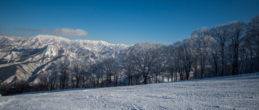 SnowJapan | The independent guide to skiing, snowboarding and ski ...