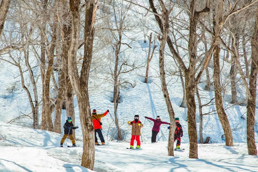 SnowJapan | The independent guide to skiing, snowboarding and ski ...