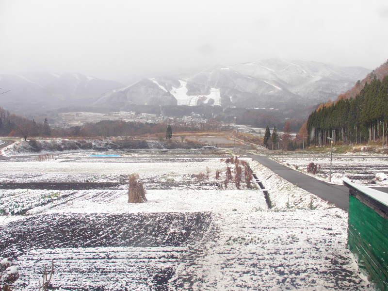 Hakuba Now (19th November 2017) | Hakuba daily snow and weather ...