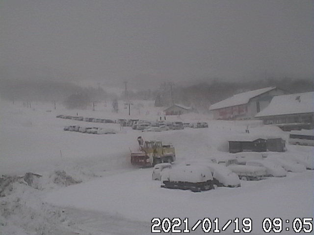 Myoko Now (19th January 2021) | Latest report | Myoko snow and weather ...