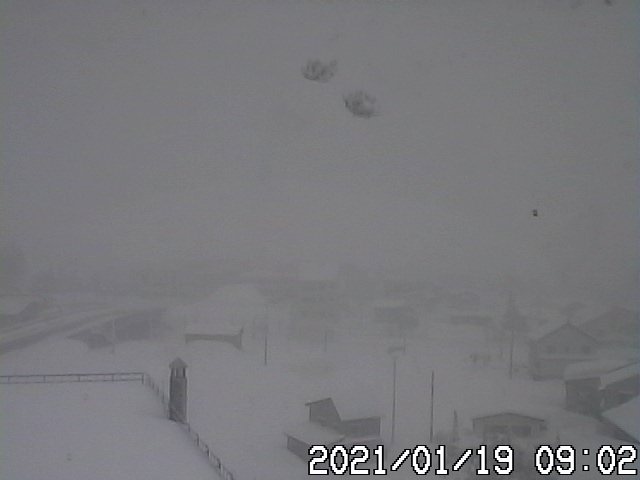 Myoko Now (19th January 2021) | Latest report | Myoko snow and weather ...
