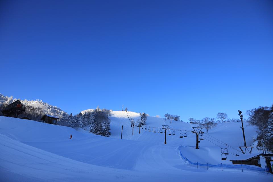 Shiga Kogen Now (07th February 2020) | Shiga Kogen daily snow and ...