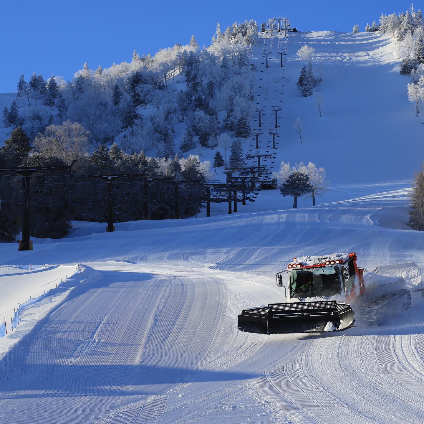Shiga Kogen Now (17th March 2020) | Shiga Kogen daily snow and weather ...