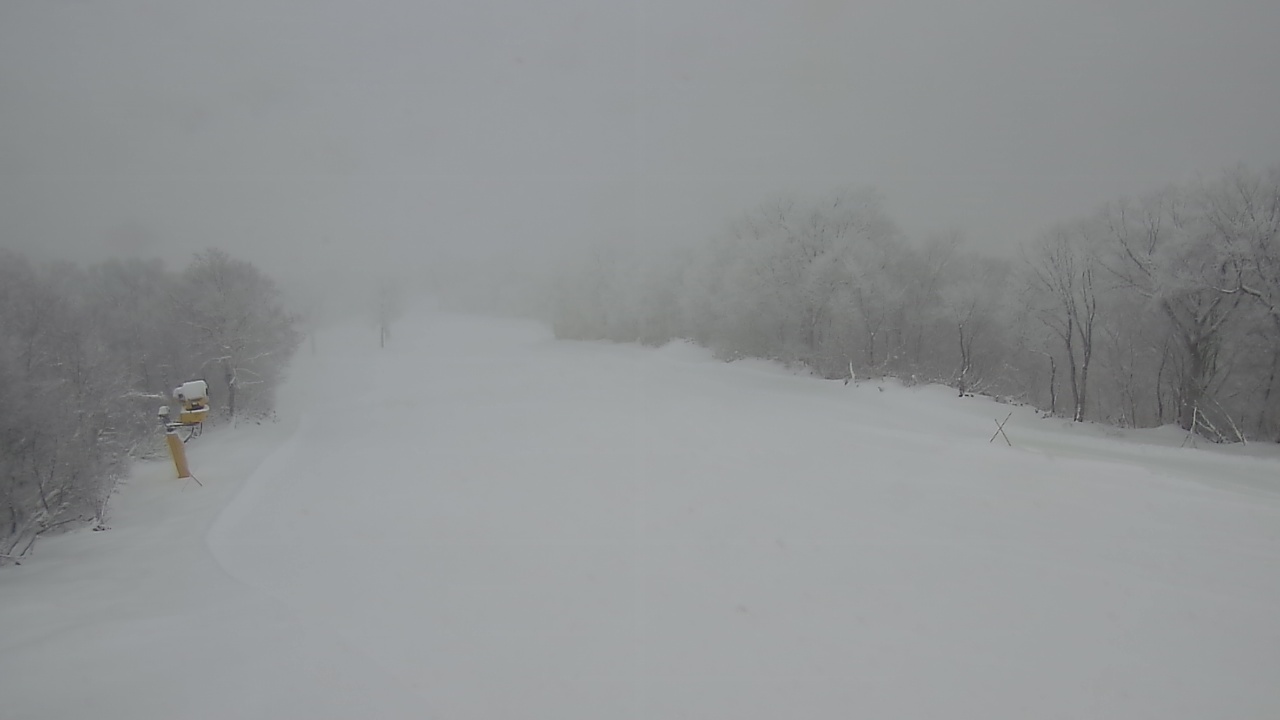 SnowJapan | The independent guide to skiing, snowboarding and ski ...
