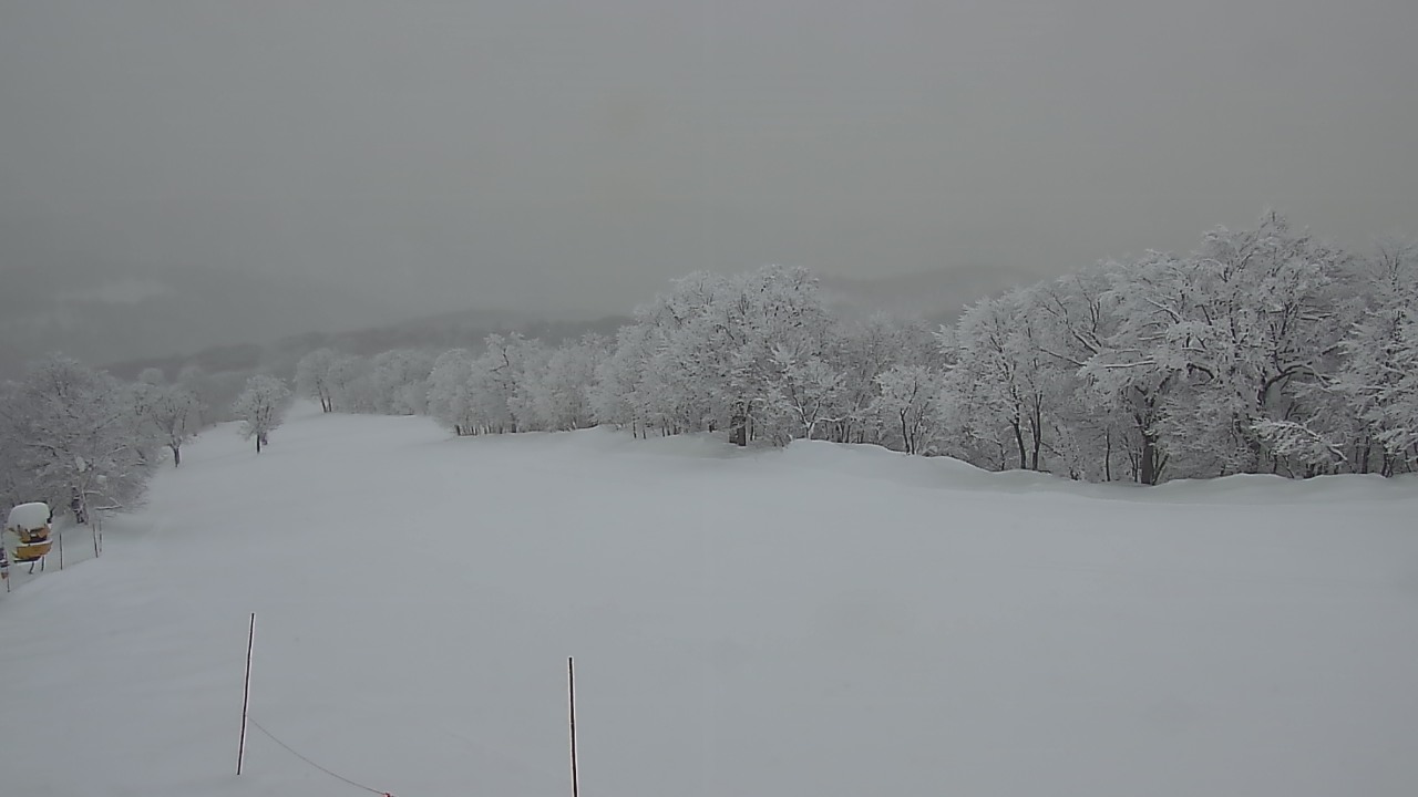 SnowJapan | The independent guide to skiing, snowboarding and ski ...