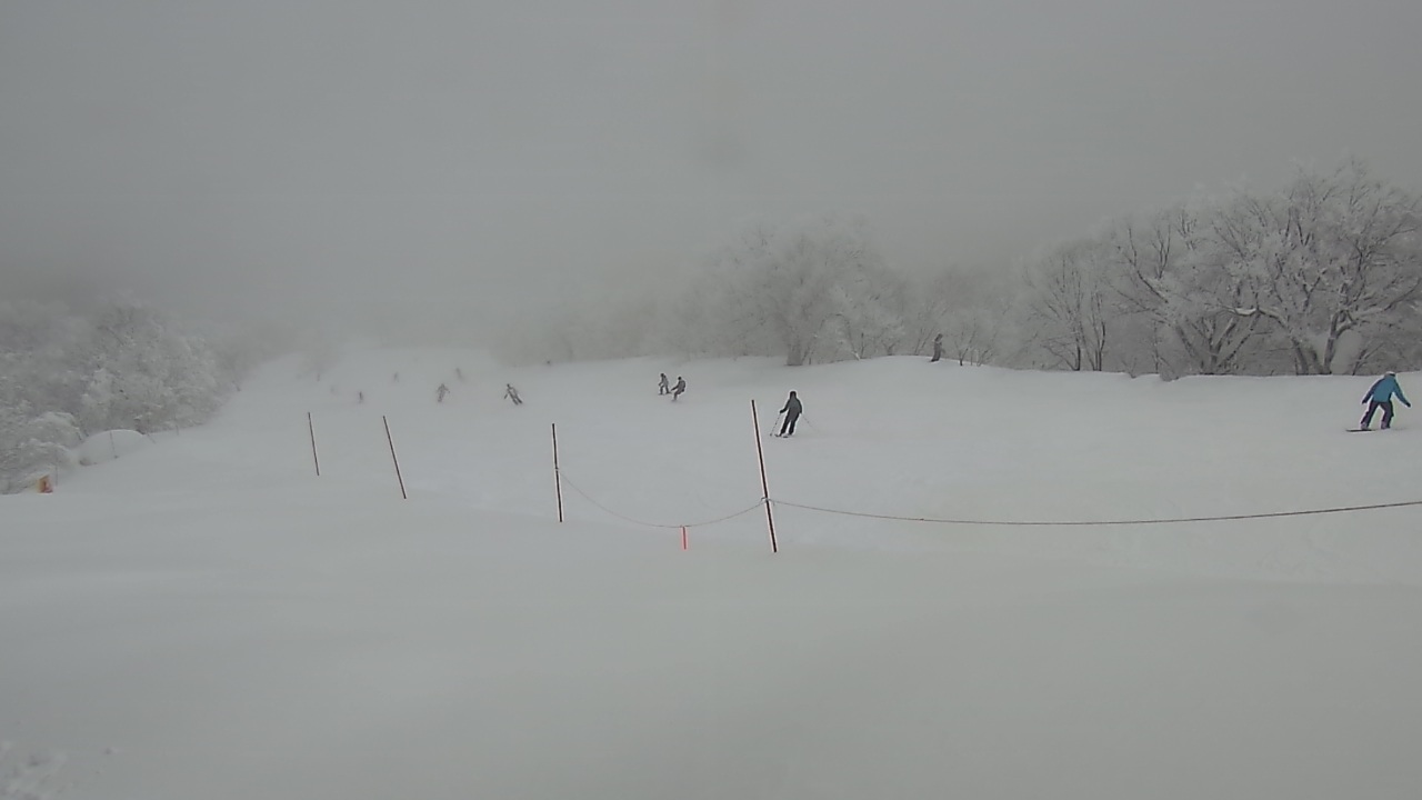 SnowJapan | The independent guide to skiing, snowboarding and ski ...