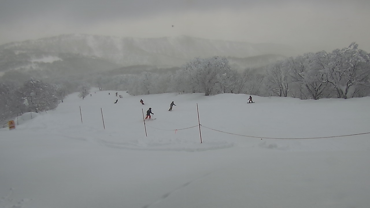 SnowJapan | The independent guide to skiing, snowboarding and ski ...