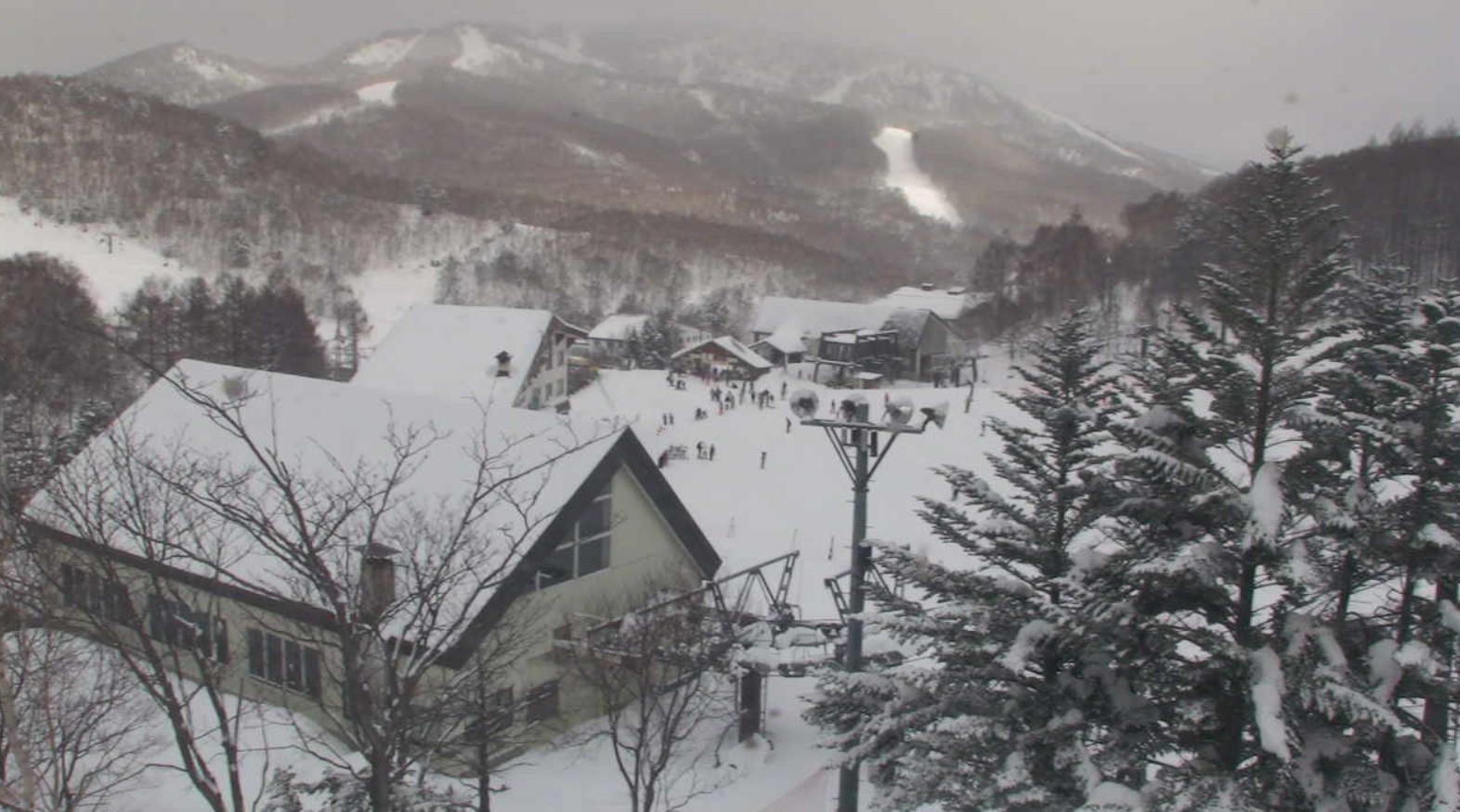 SnowJapan | The independent guide to skiing, snowboarding and ski ...