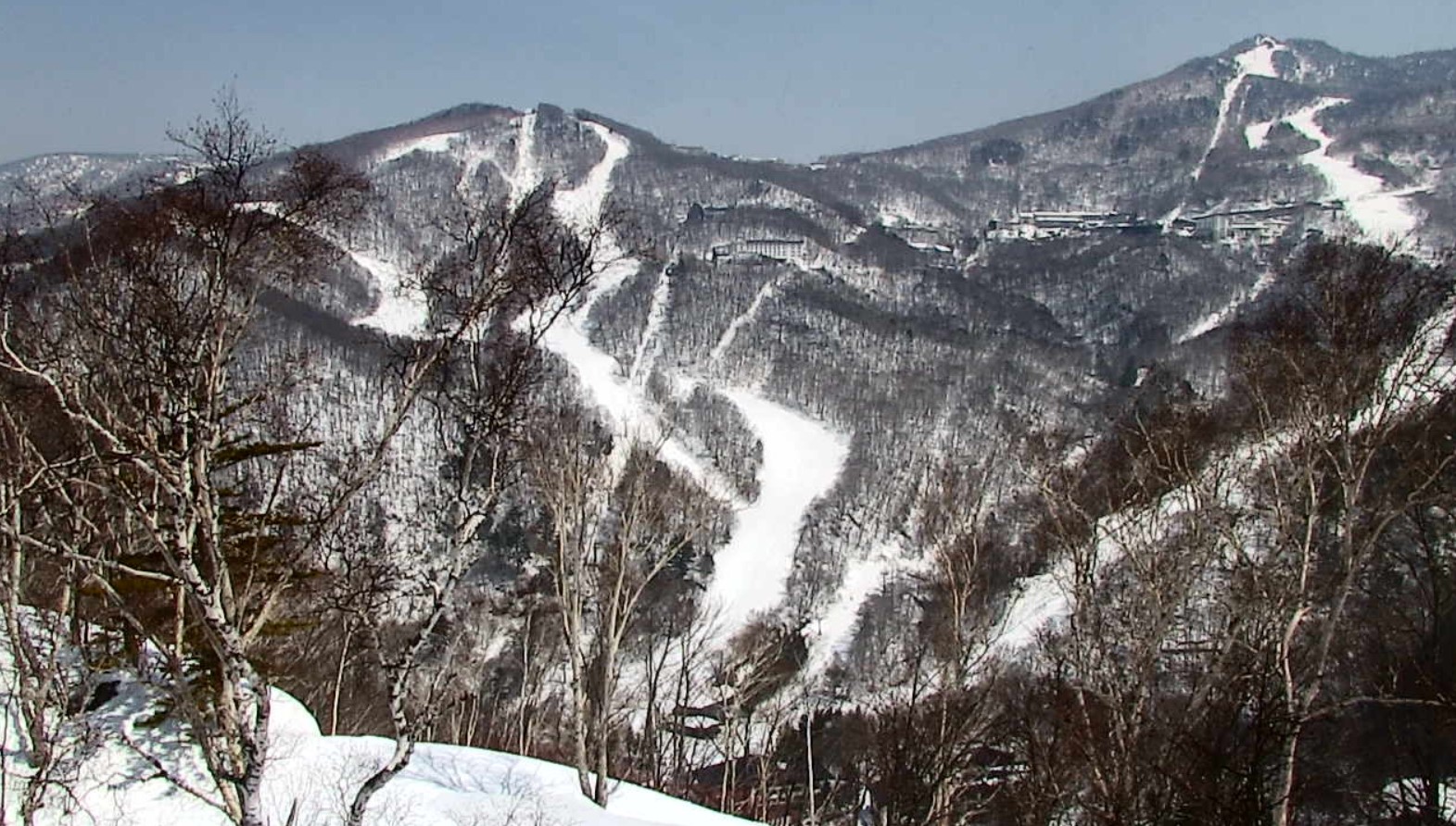 SnowJapan | The independent guide to skiing, snowboarding and ski ...