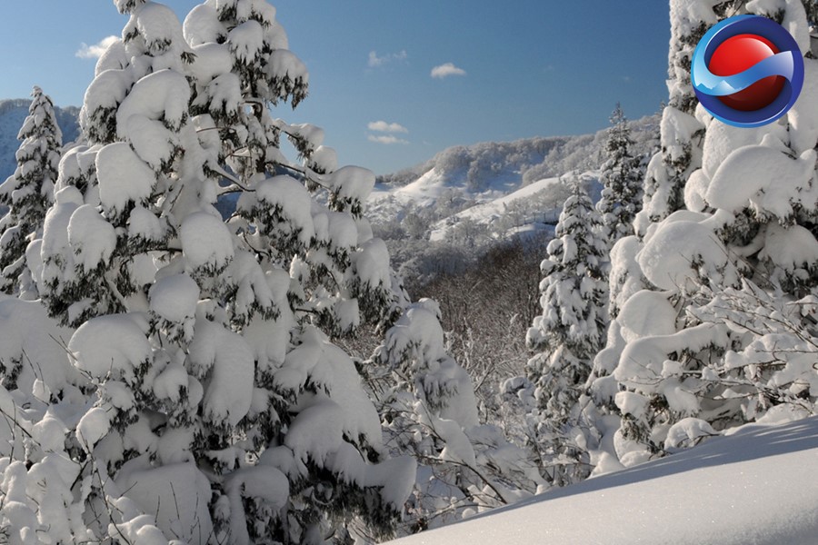 SnowJapan | The independent guide to skiing, snowboarding and ski ...