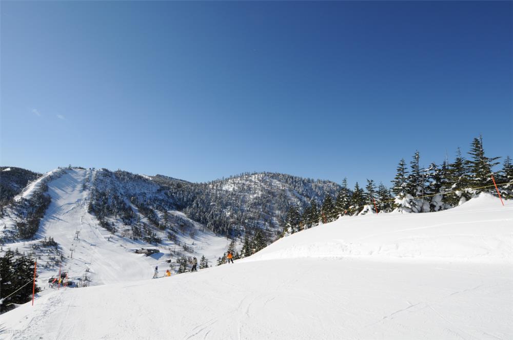 SnowJapan | The independent guide to skiing, snowboarding and ski ...