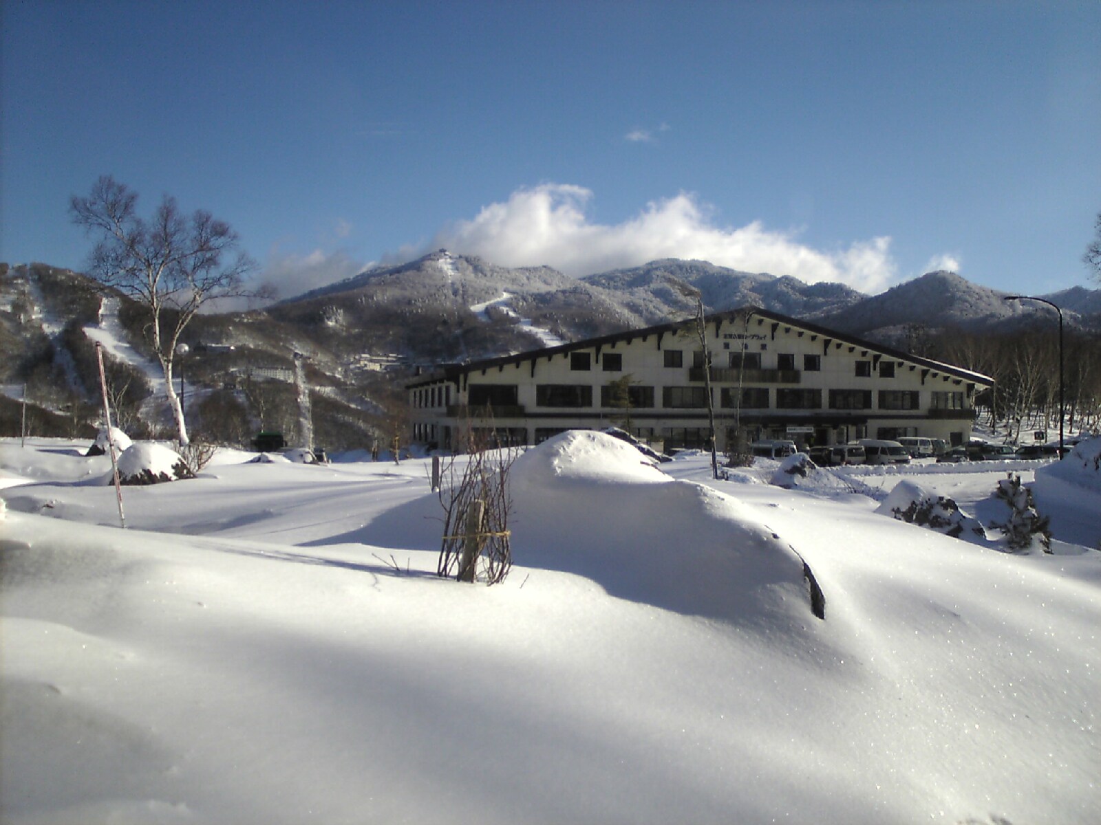 Shiga Kogen | Tags | Japan ski photos | SnowJapan