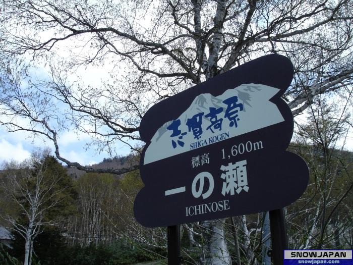 Shiga Kogen Ichinose Family photos | Japan ski photos | Yamanouchi Town ...