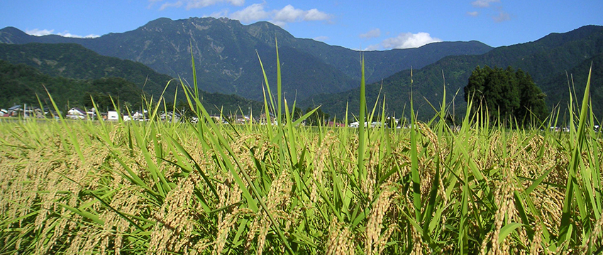 Minamiuonuma | Minamiuonuma City | Niigata Prefecture | Resort ...